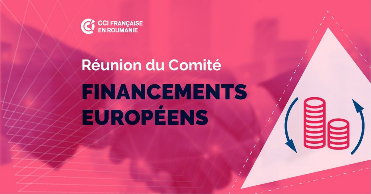 Réunion Comité Financements Européens | CCI FRANCE ROUMANIE