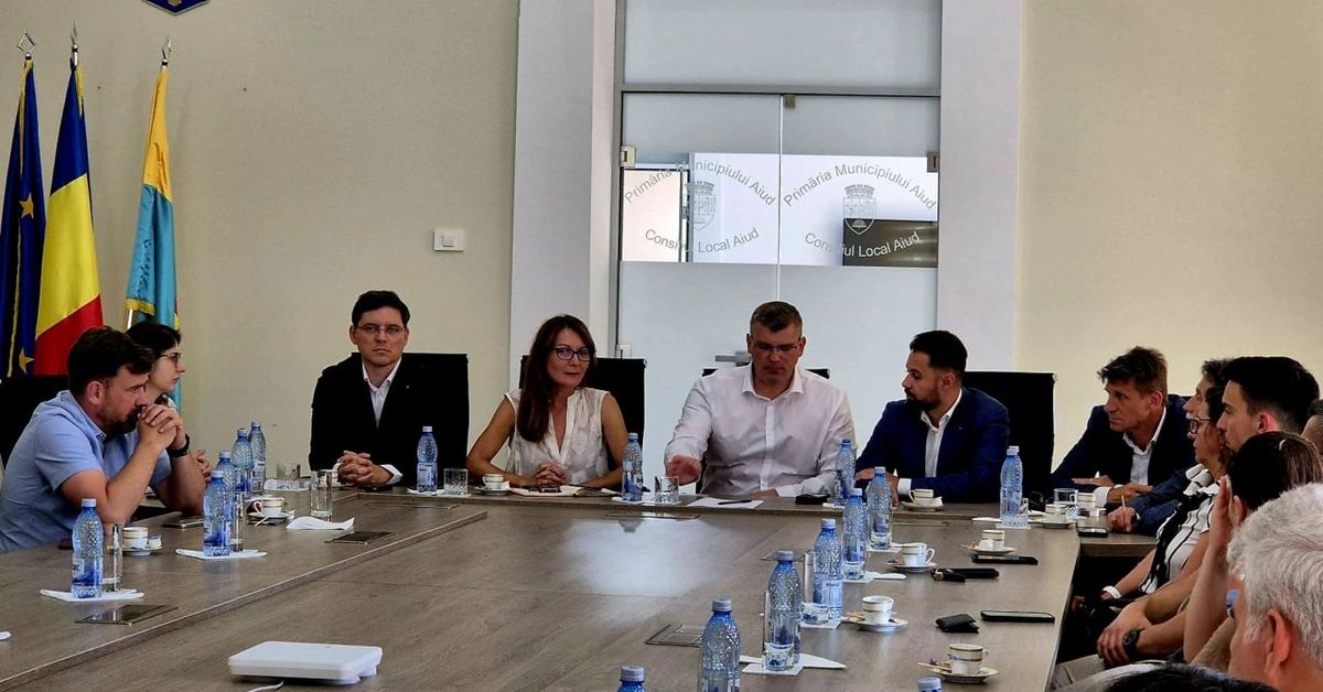 Retour sur : Première journée du Business Marathon à Aiud | CCI FRANCE ...